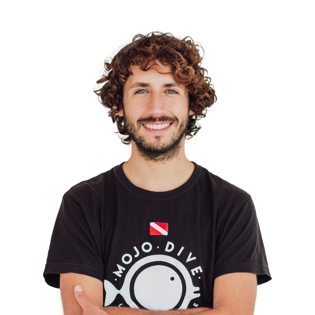 Get to know us: Team | Mojo Dive