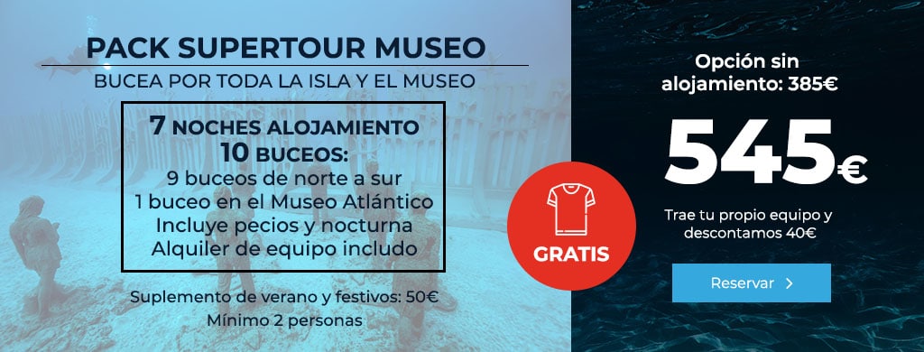 | Curso de PADI OPEN WATER DIVER [ Mojo Dive ]